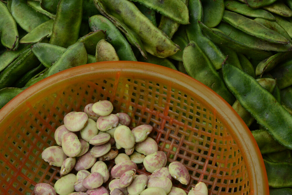 Favas - Praça Mercado Famalicão