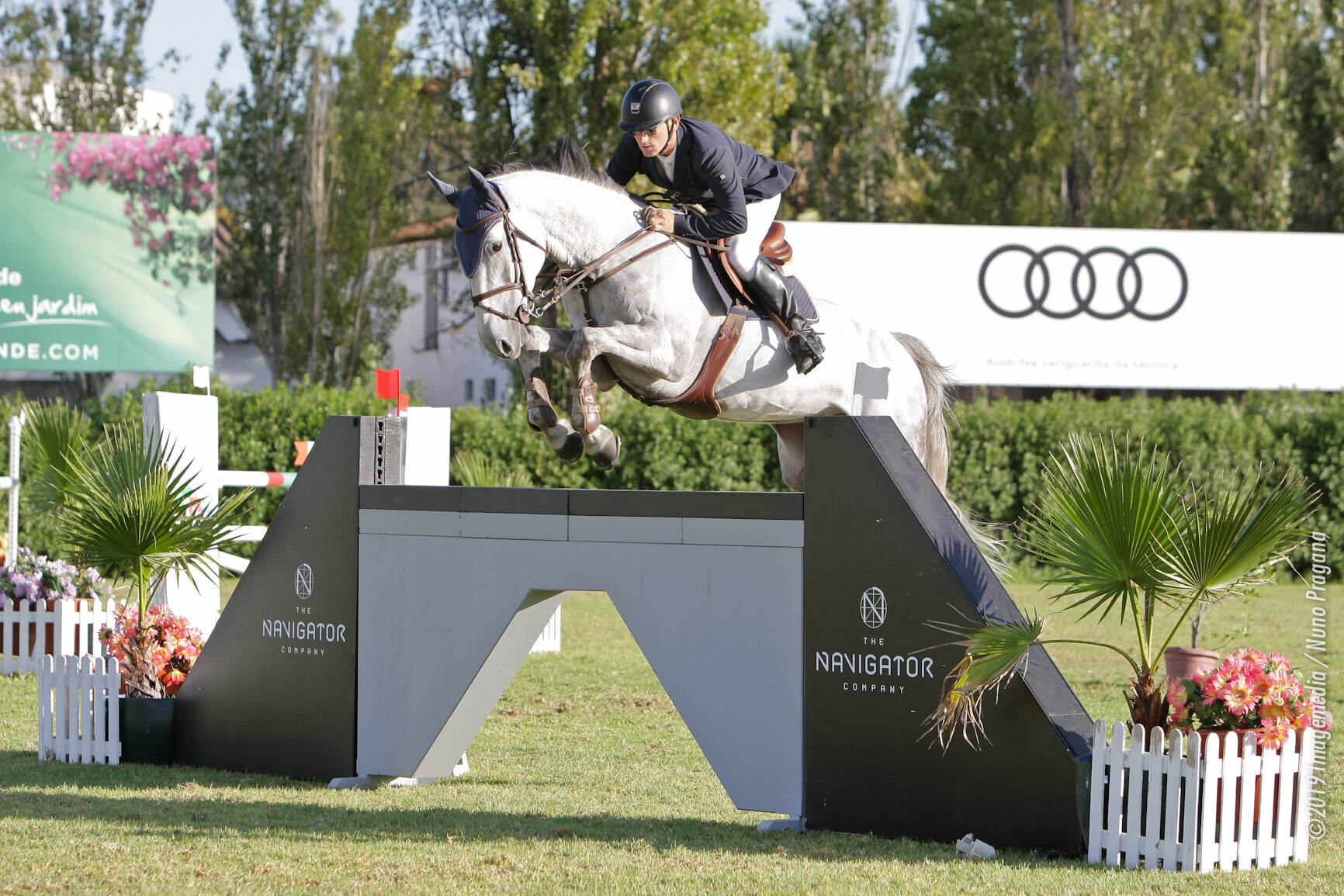 Martim Portela Morais salta para a vitória na SHP - Portal Equitação