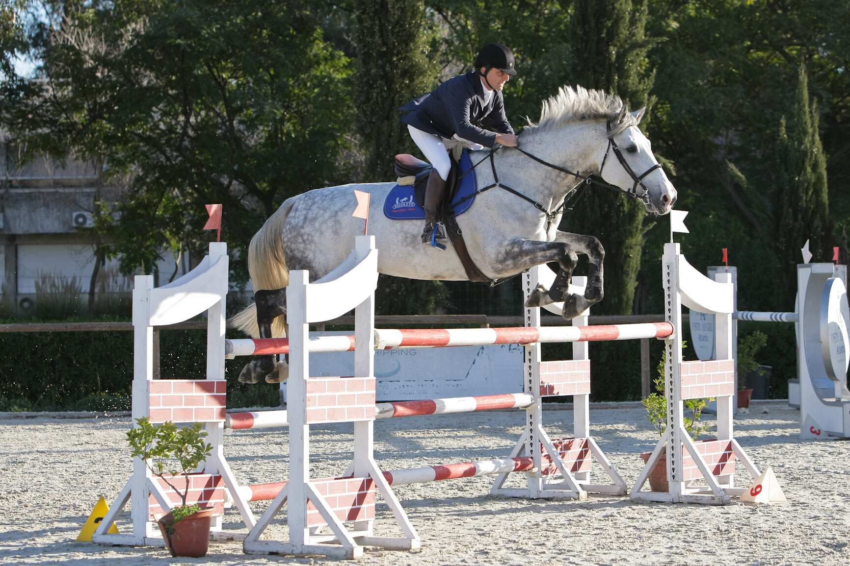 Arranque da temporada na SHP - Portal Equitação