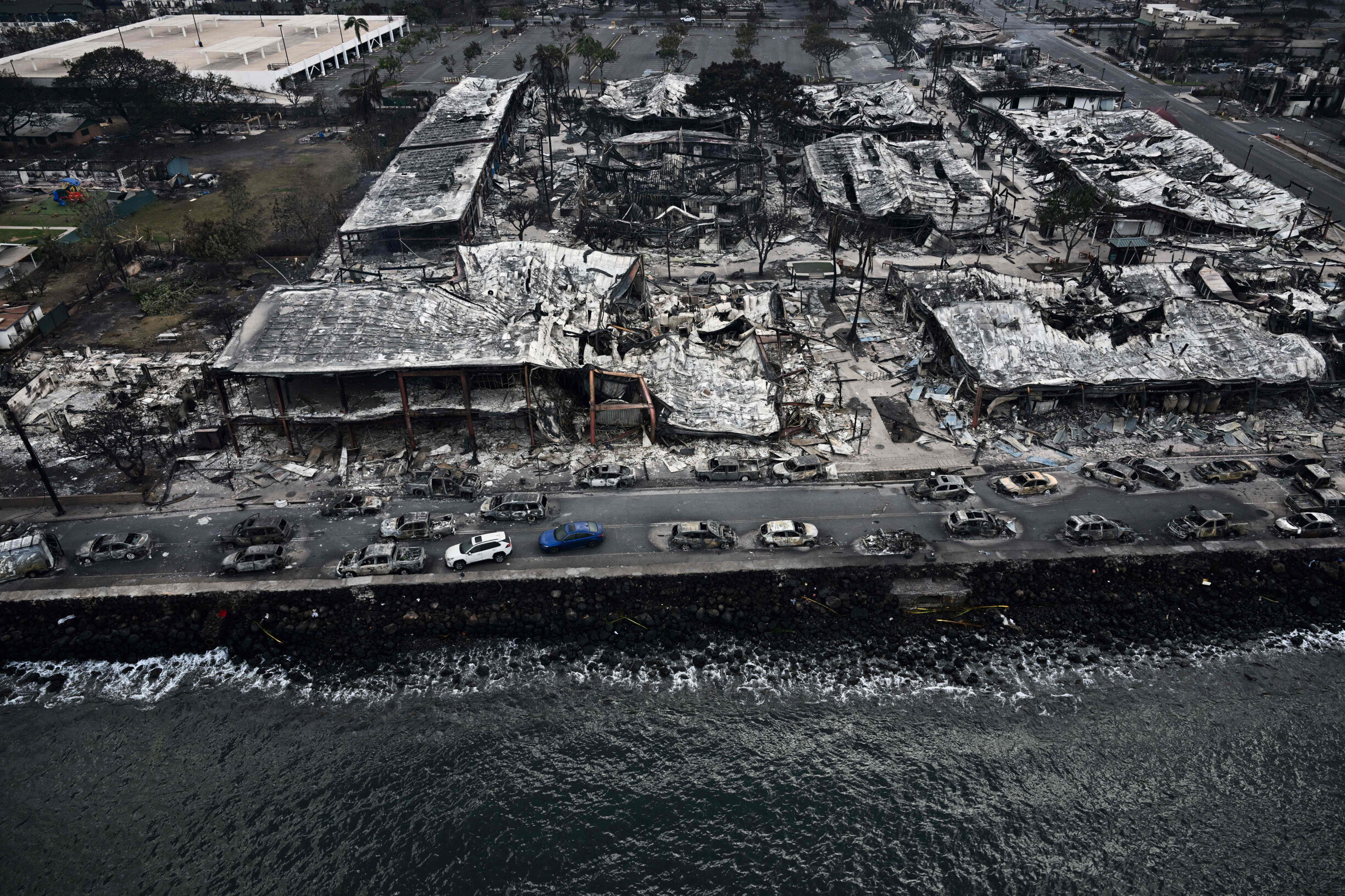 Balanço de mortos nos incêndios do Havai sobe para 53 Balanço de mortos nos incêndios do Havai sobe para 53