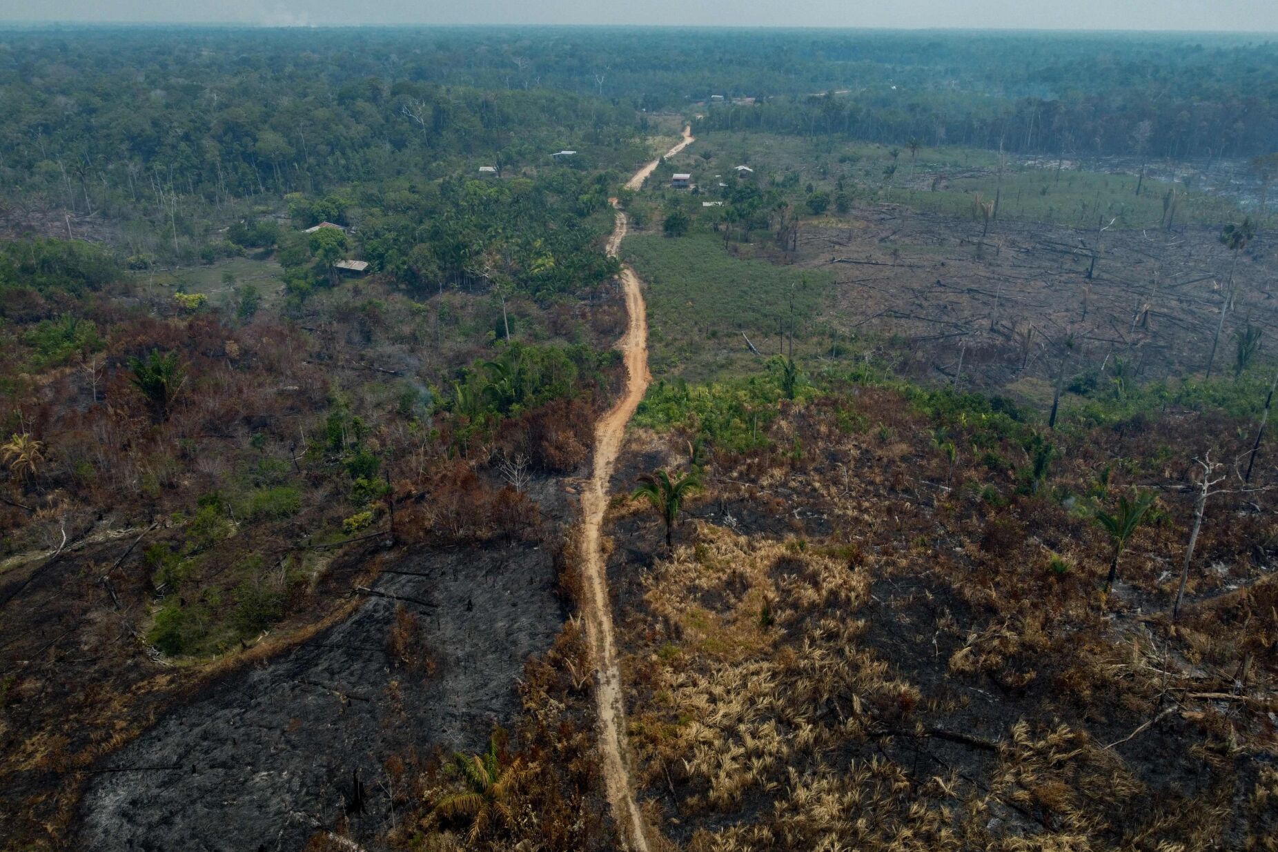 Amazónia Brasileira Registou Em Novembro O Maior Número De Incêndios Em