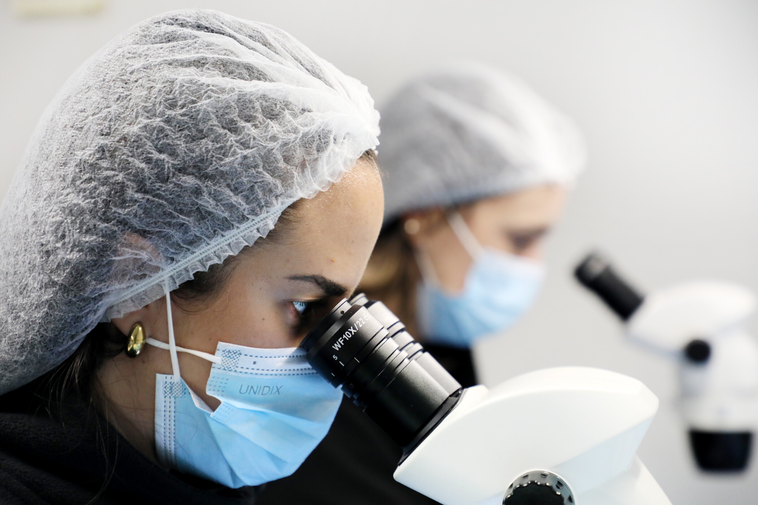 Grupo Insparya: inovação e excelência em saúde capilar • Mais de 15 ...