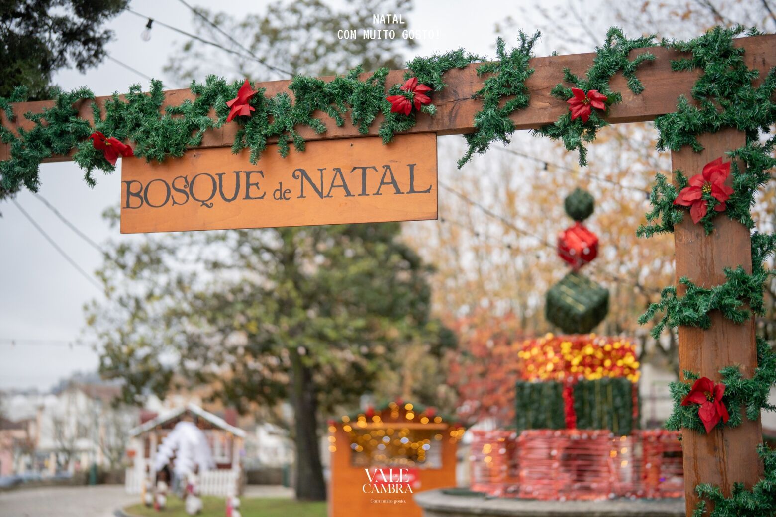 Bosque de Natal despede-se com música, teatro e solidariedade em Vale ...